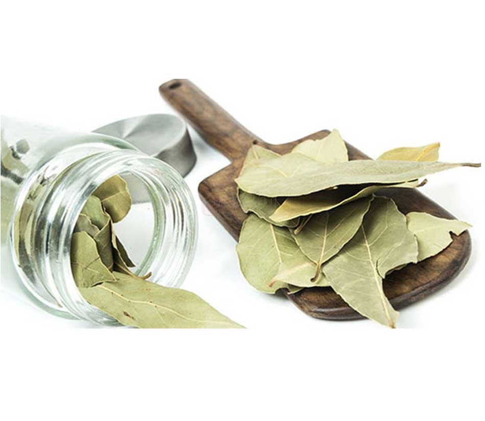 Bay Leaf (Tejpata) 100g - Spices & Masalas