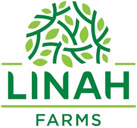 Buy Linah Farms Dates (Khejur) Online in Bangladesh