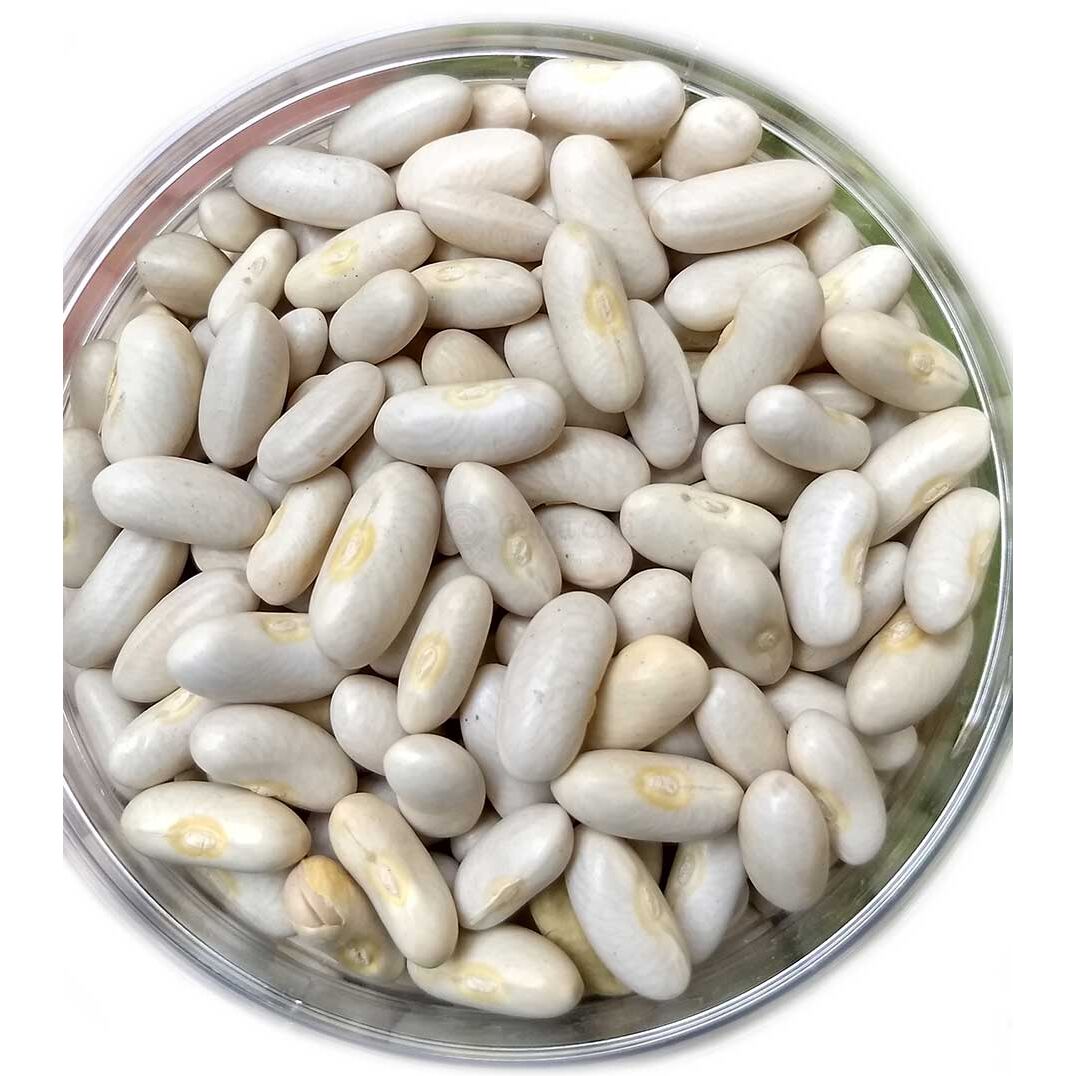 White Kidney Bean (White Rajma) 1Kg - Nuts & Seeds